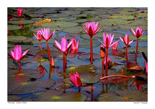 Home | Craig Lowrie Photography