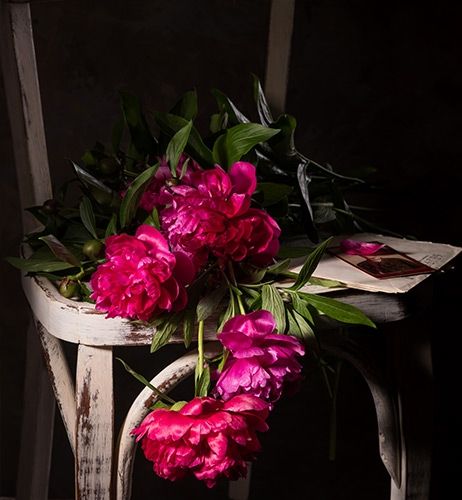 12 Great Tips to Master Still Life Photography