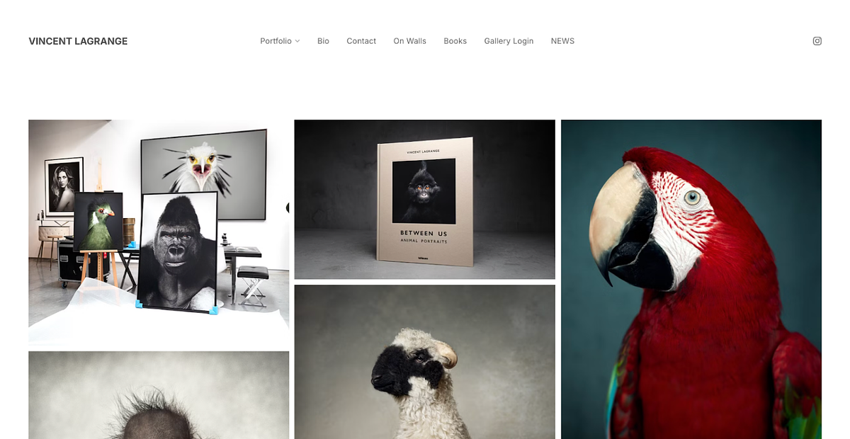 33 Types of Photography Styles & Techniques with Examples