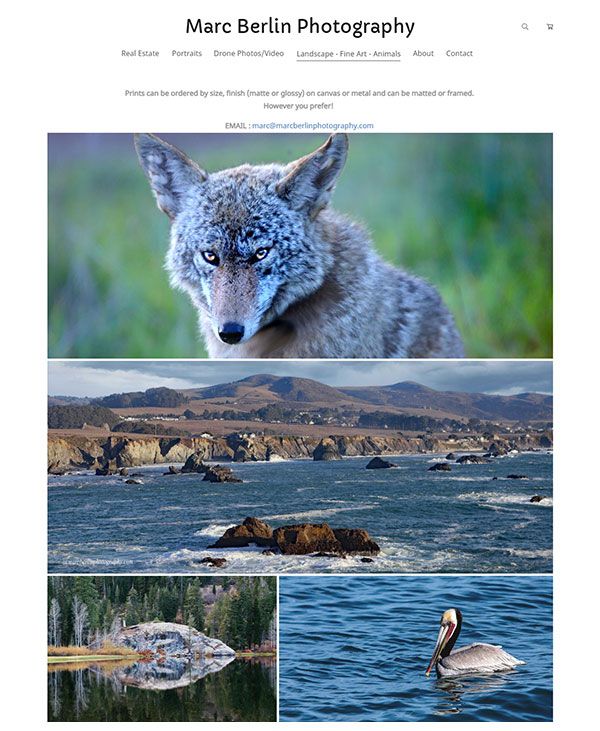 Best Nature Photography Portfolio Examples